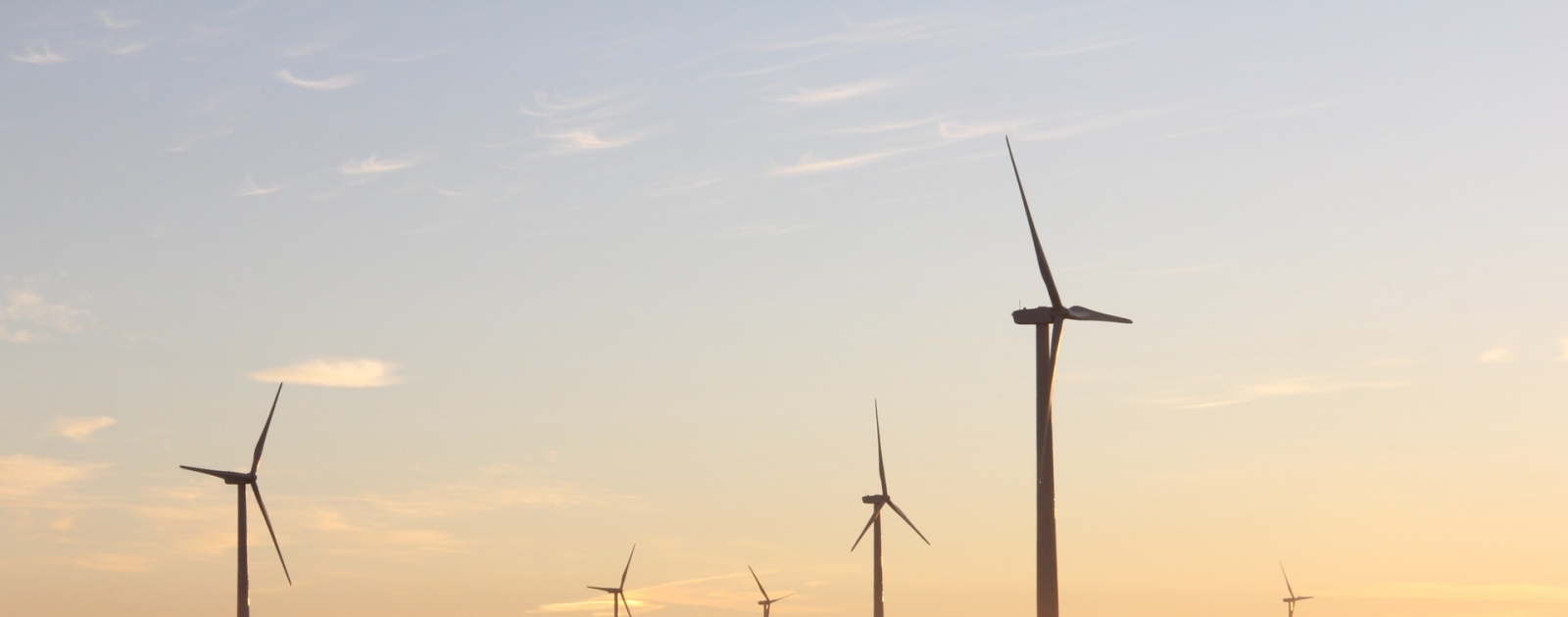 Project description | ERC DREAM-ON