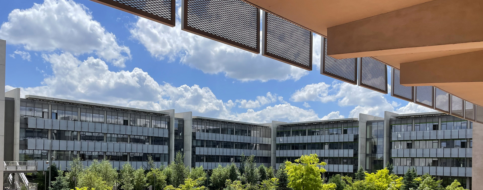 New PhD student in the DREAM-ON project | ERC DREAM-ON