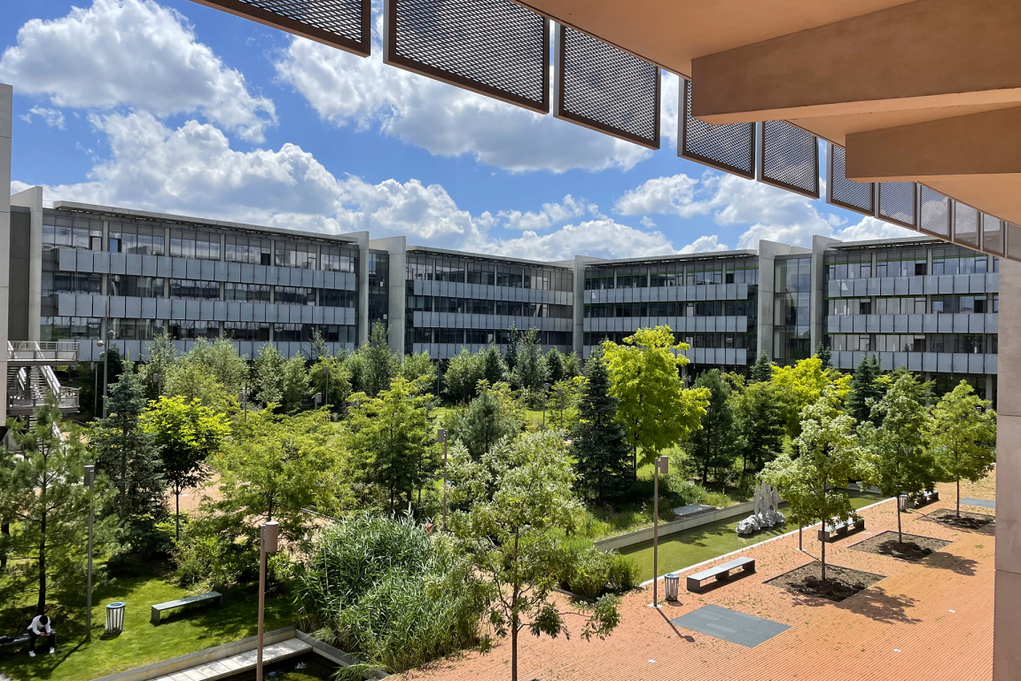 New PhD student in the DREAM-ON project | ERC DREAM-ON